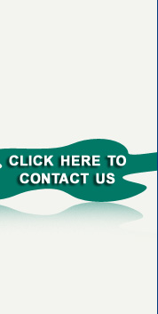 Steer Omega Extruders The Best Value Option